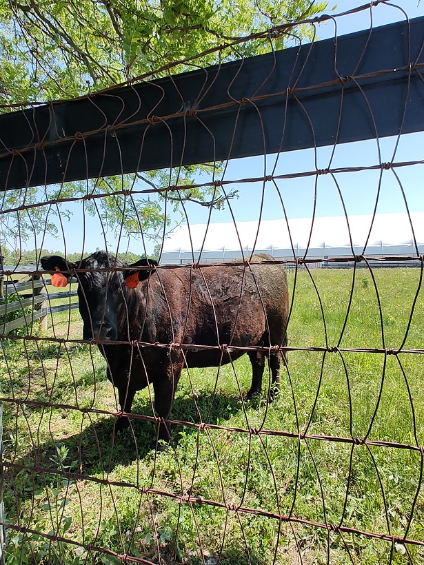 Loving Life on the Farm! – Hoffman's Farm Market