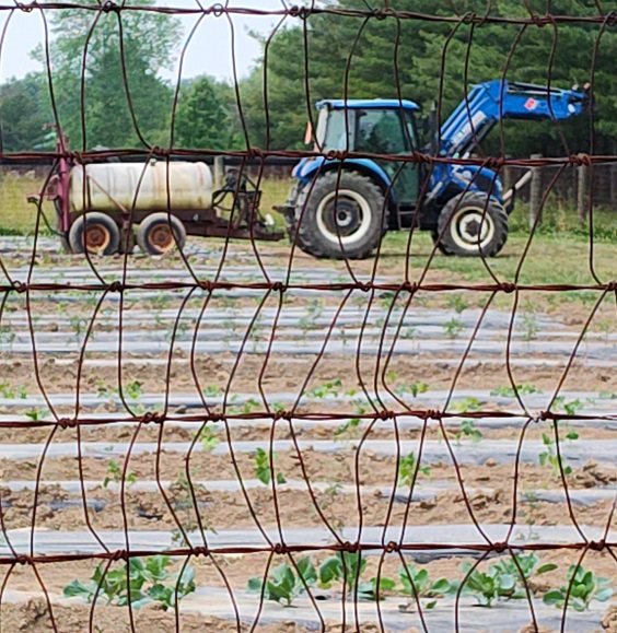 Loving Life on the Farm! – Hoffman's Farm Market